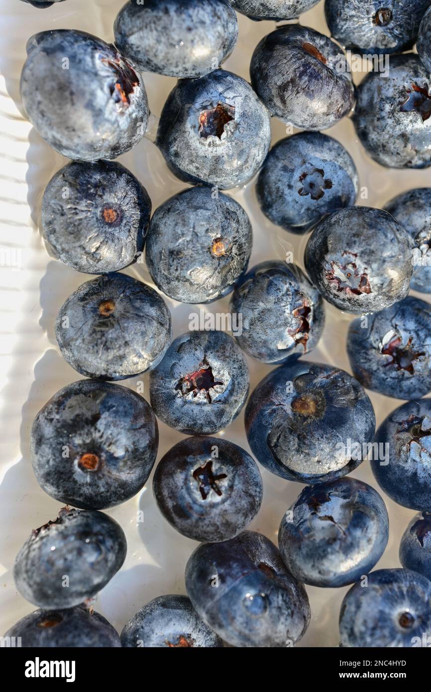 Fresh blueberry background. Texture blueberry berries close up ...