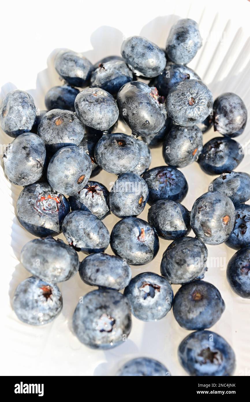Fresh blueberry background. Texture blueberry berries close up ...
