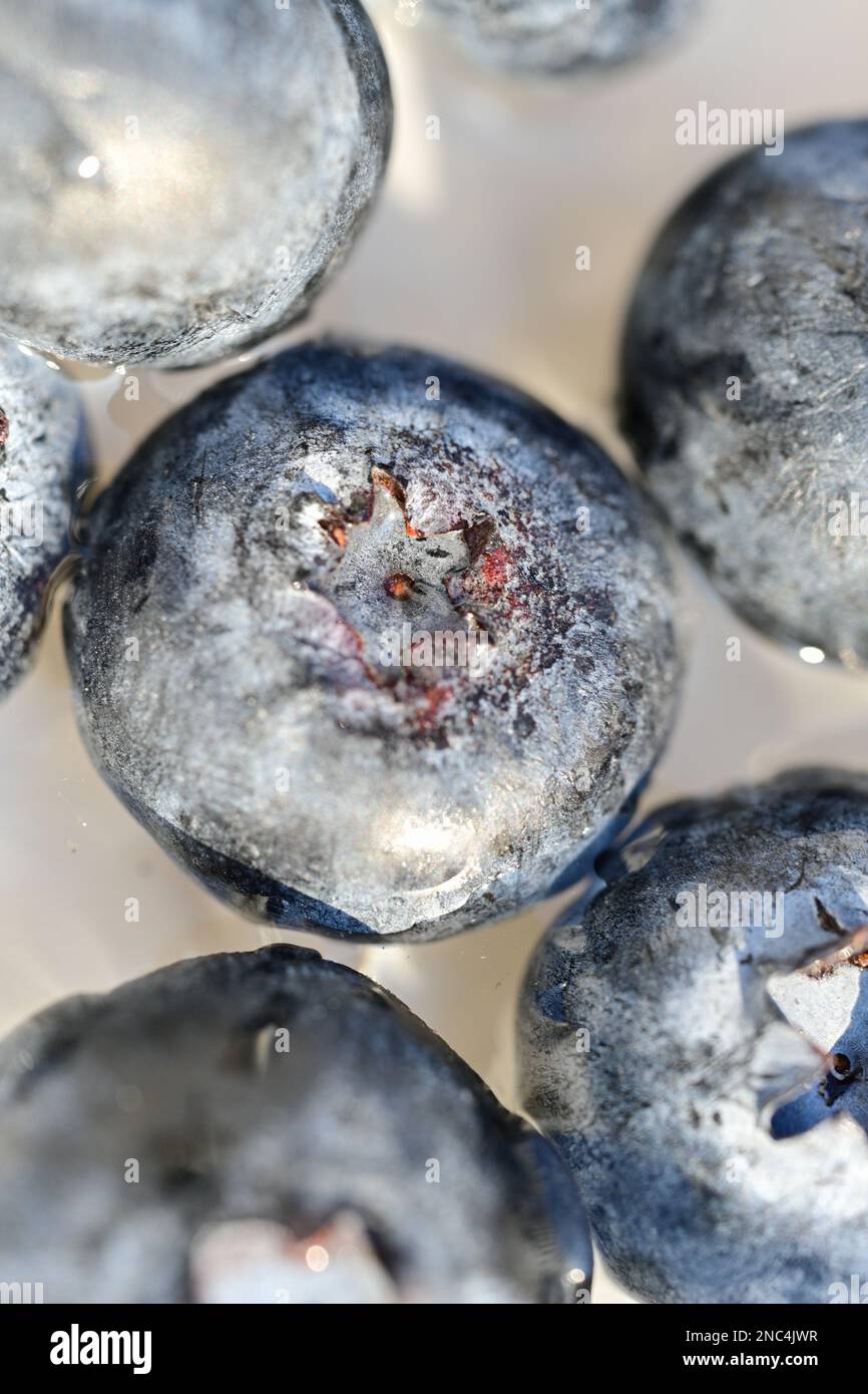Fresh blueberry background. Texture blueberry berries close up ...