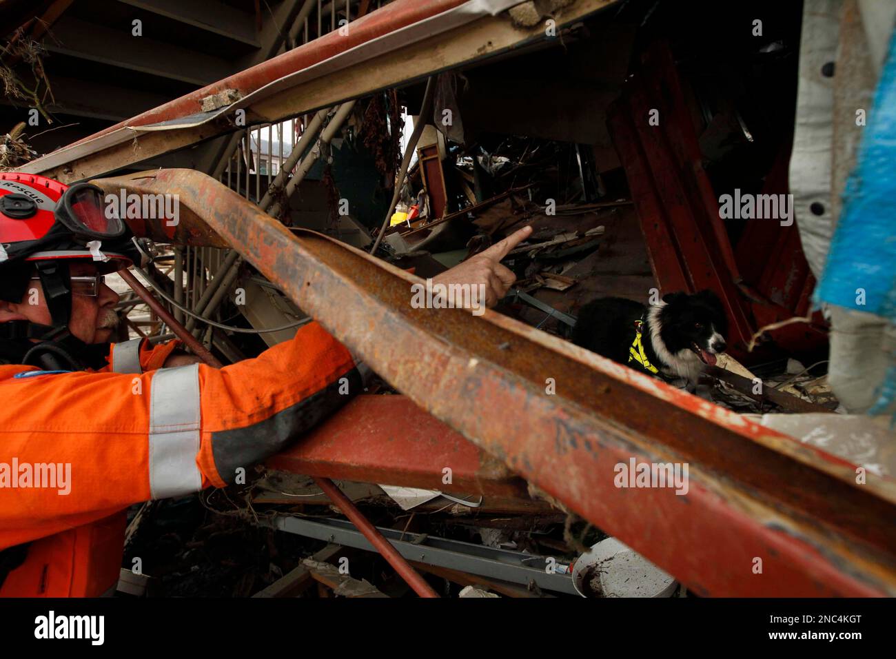 British search and rescue team member Rob Furniss and his search dog ...