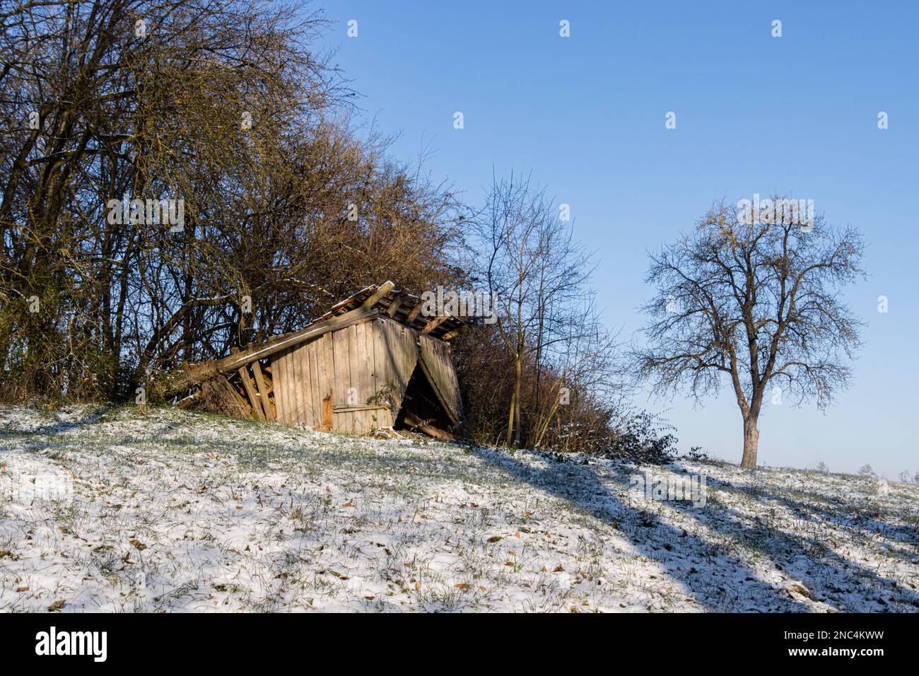 Collapsed shed in Winter with trees in the background Stock Photo - Alamy