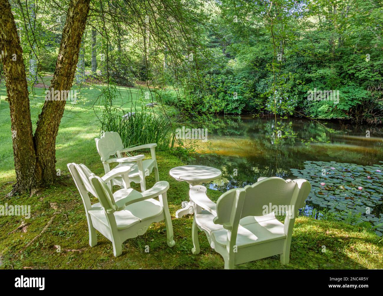 Serene coy pond in wooded landscape Stock Photo - Alamy