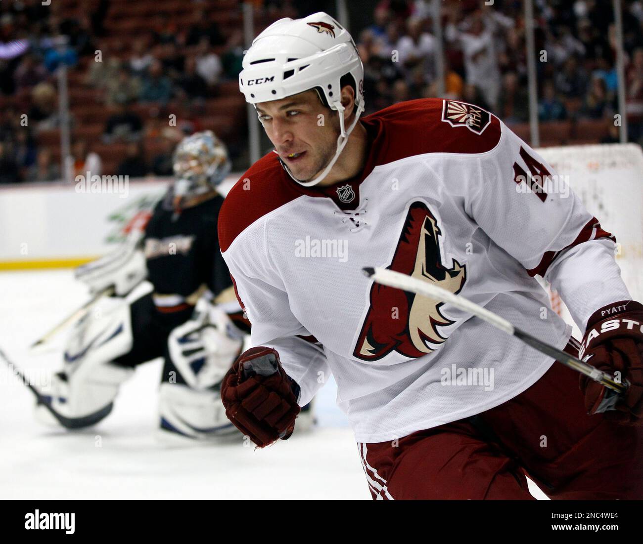 Phoenix Coyotes left wing Taylor Pyatt (14) scores a goal on Anaheim ...