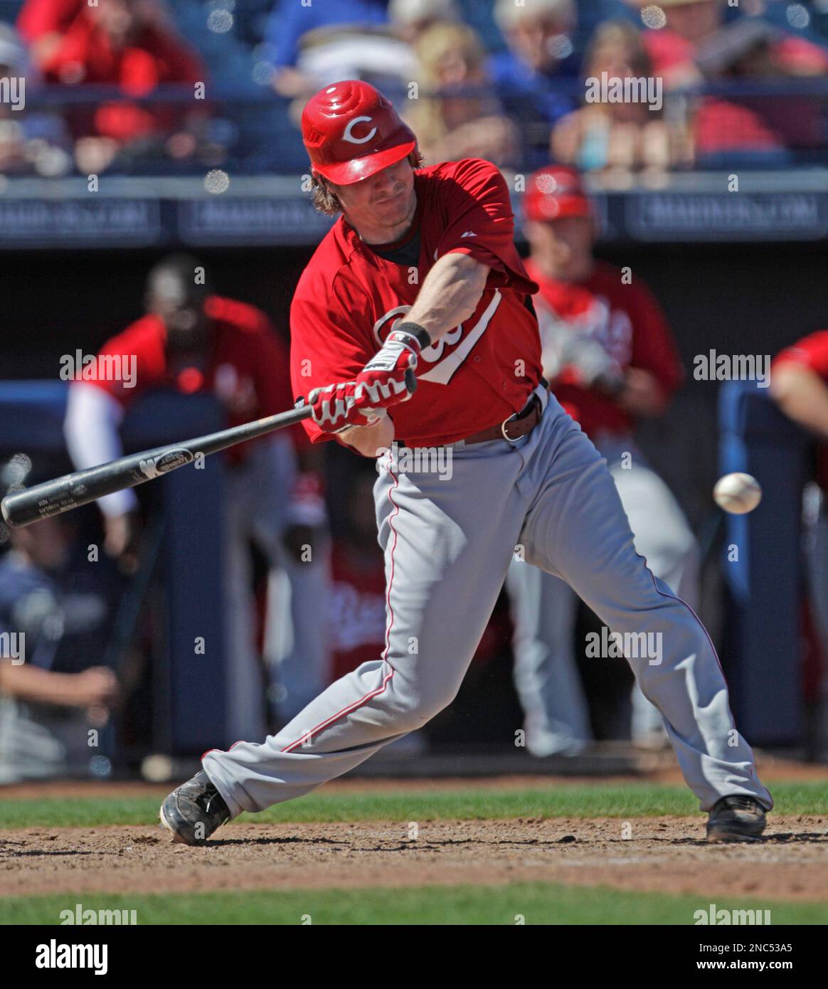 Cincinnati Reds catcher Ryan Hanigan during a spring training baseball ...