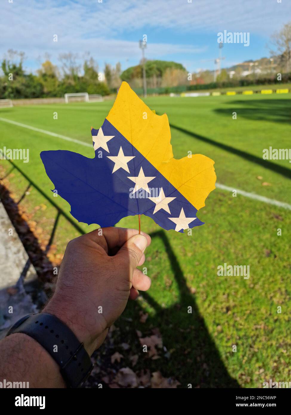 hand holding a tree leaf with the flag of bosnian Stock Photo - Alamy