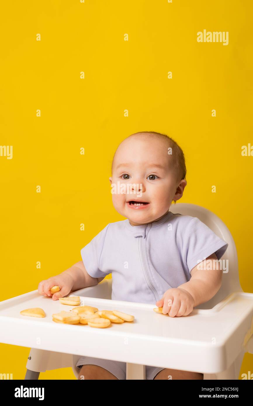 a cute baby is sitting in a child's chair eating cookies. Yellow ...