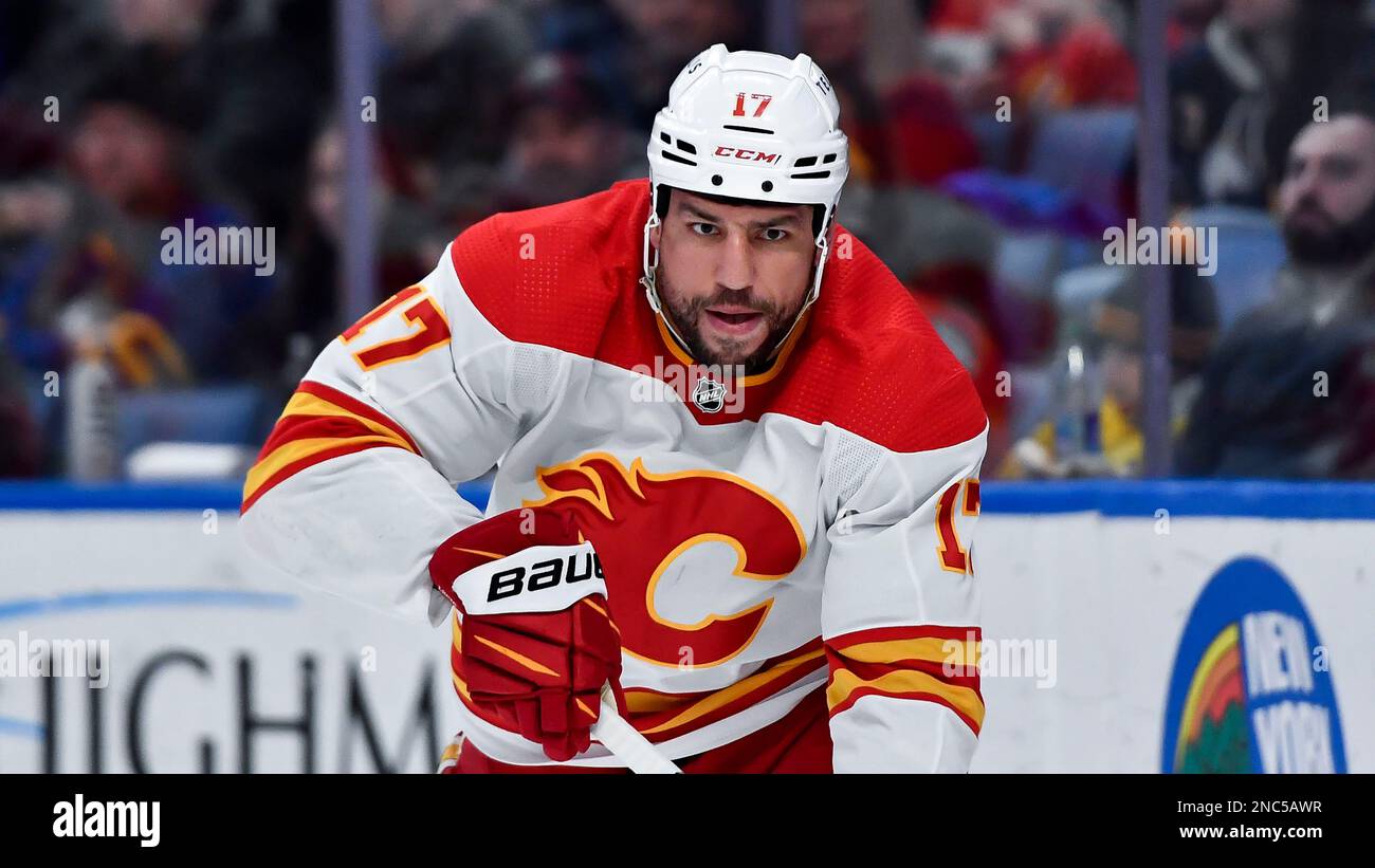 Calgary Flames left wing Milan Lucic (17) skates during the second ...
