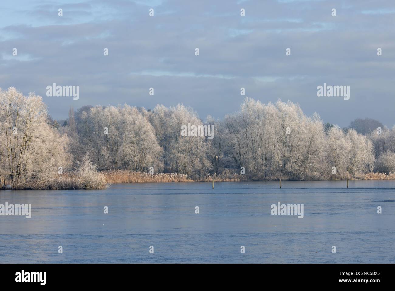 Whitlingham country park norwich hi-res stock photography and images ...