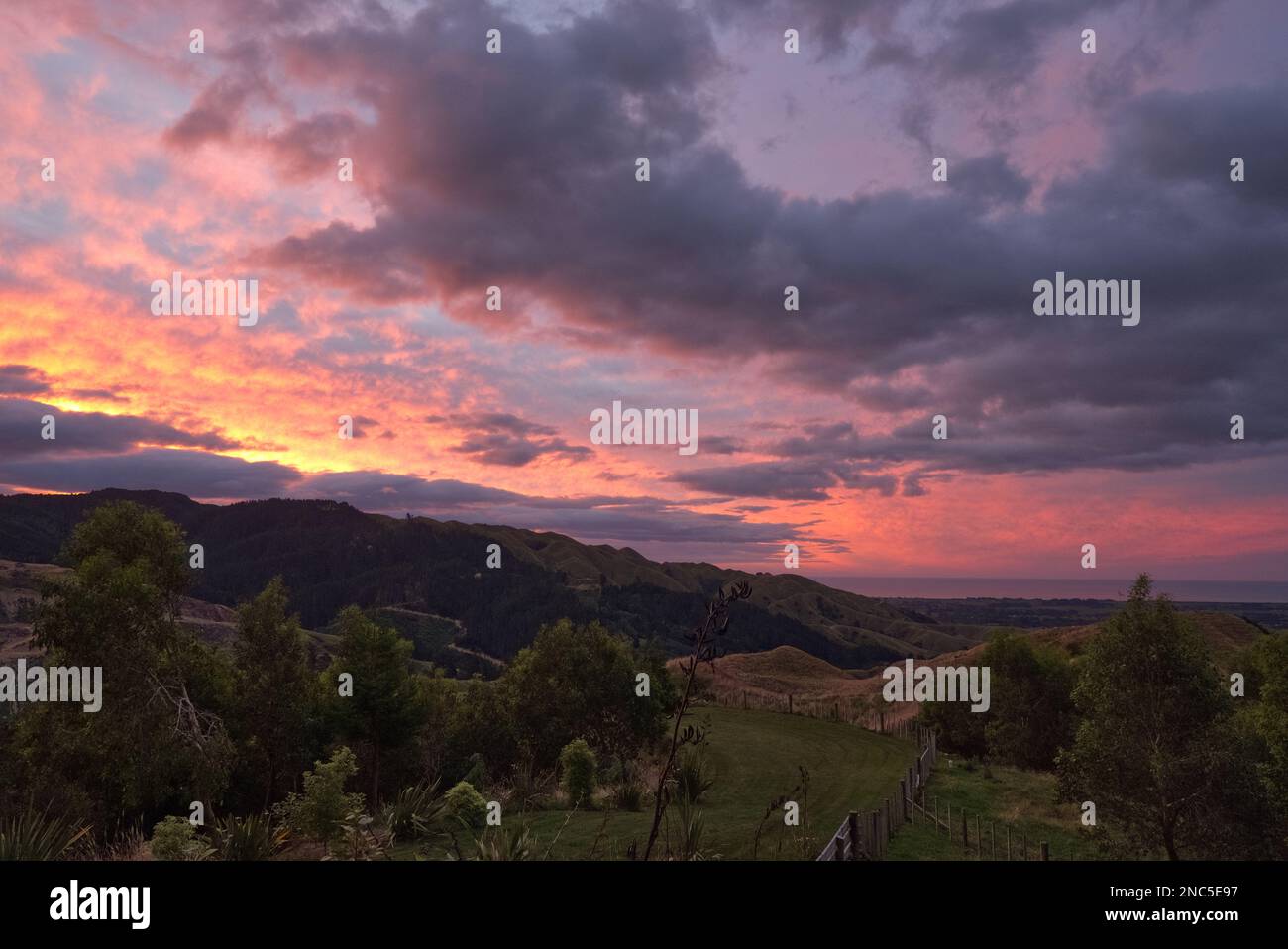 Otaki new zealand hi-res stock photography and images - Alamy