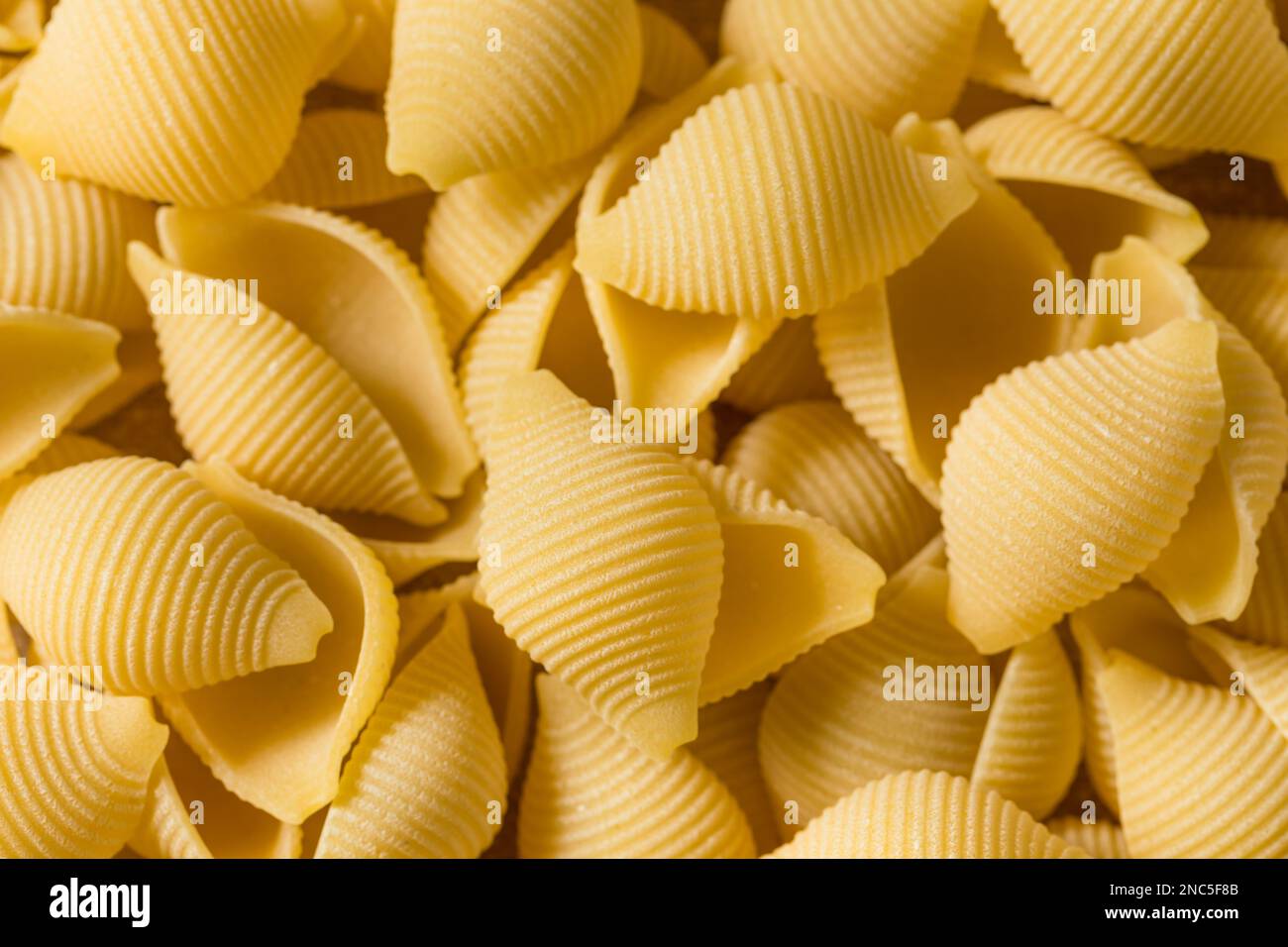 Homemade Dry Raw Conchiglie Pasta Ready to Cook Stock Photo - Alamy