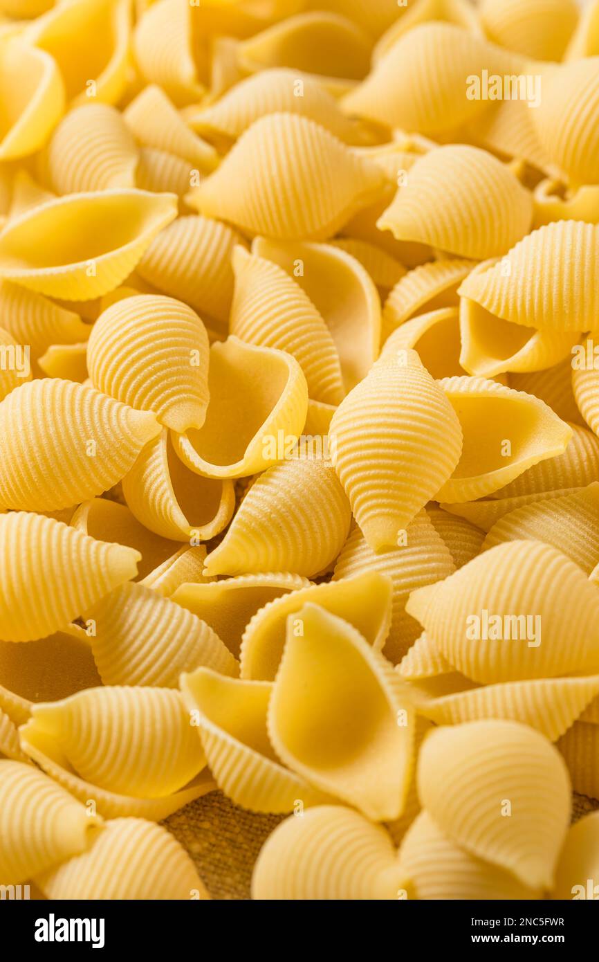 Homemade Dry Raw Conchiglie Pasta Ready to Cook Stock Photo - Alamy