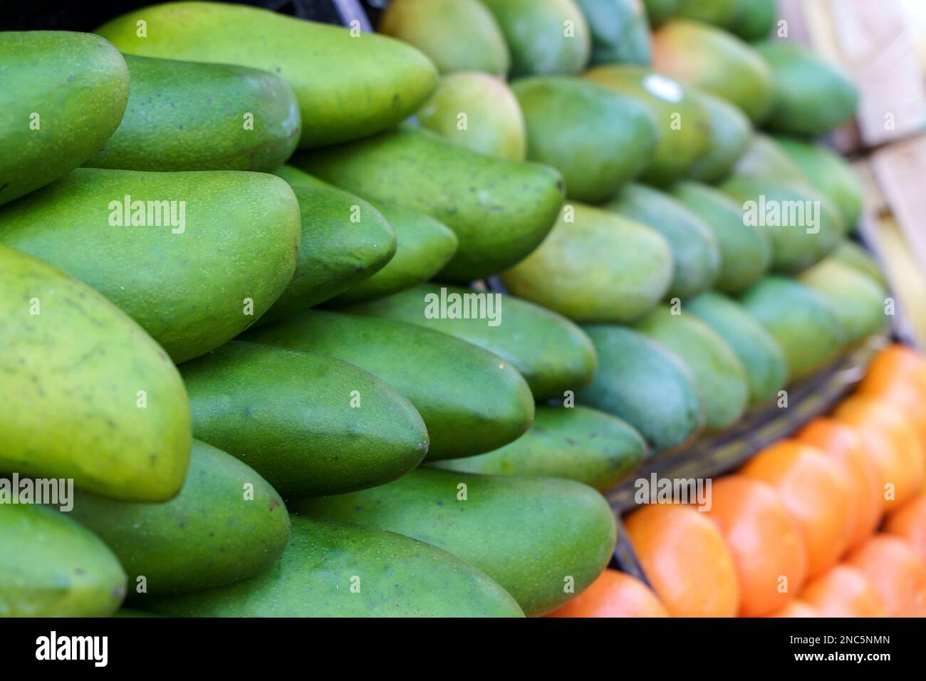 Ripe green mangoes at the fruit market. Harvest of exotic sweet mangoes ...