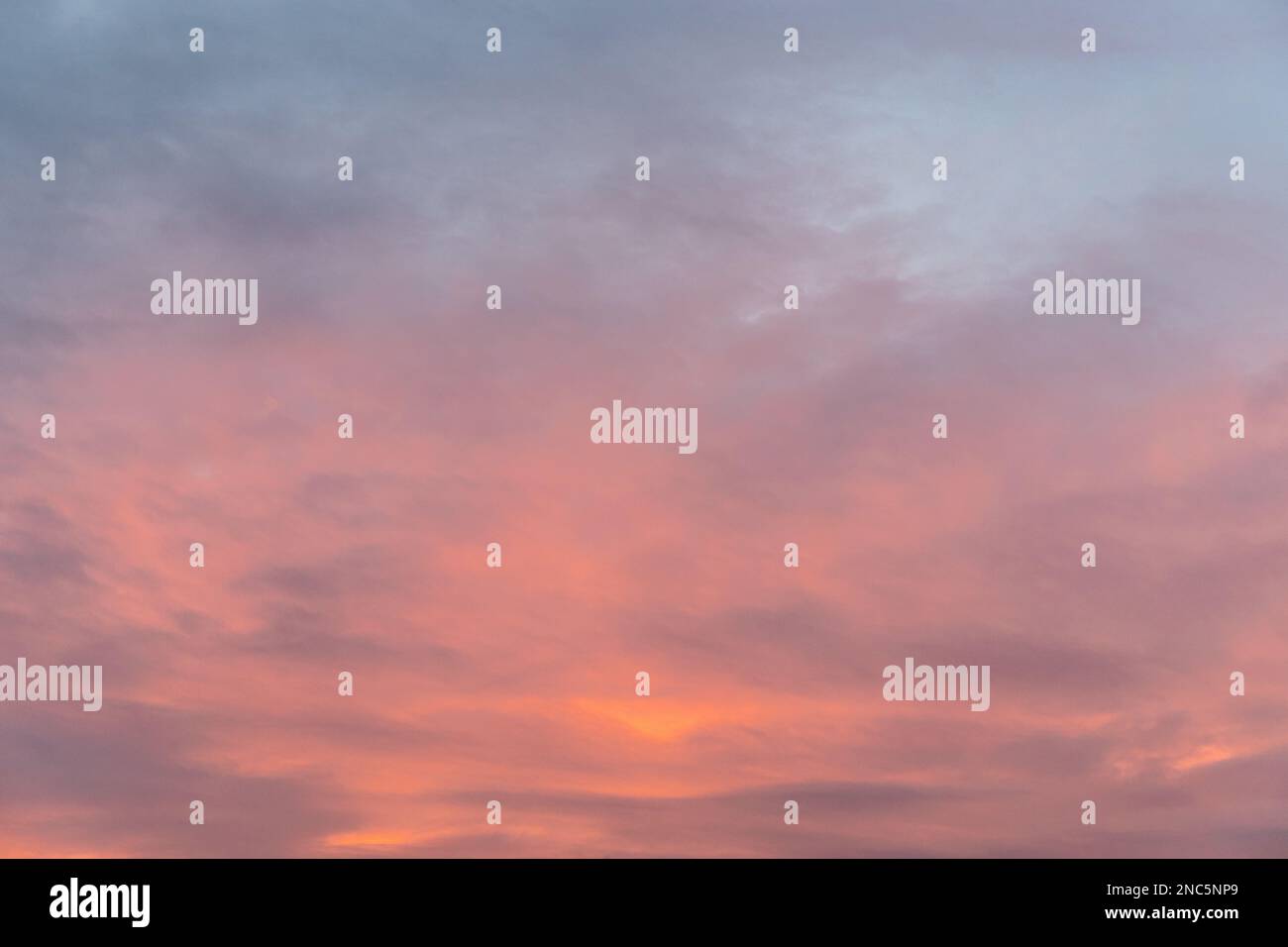 Sunset Sky Background with Pink Clouds Stock Photo - Alamy