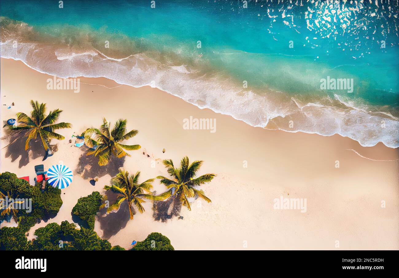 Sunny summer beach with palms Stock Photo - Alamy