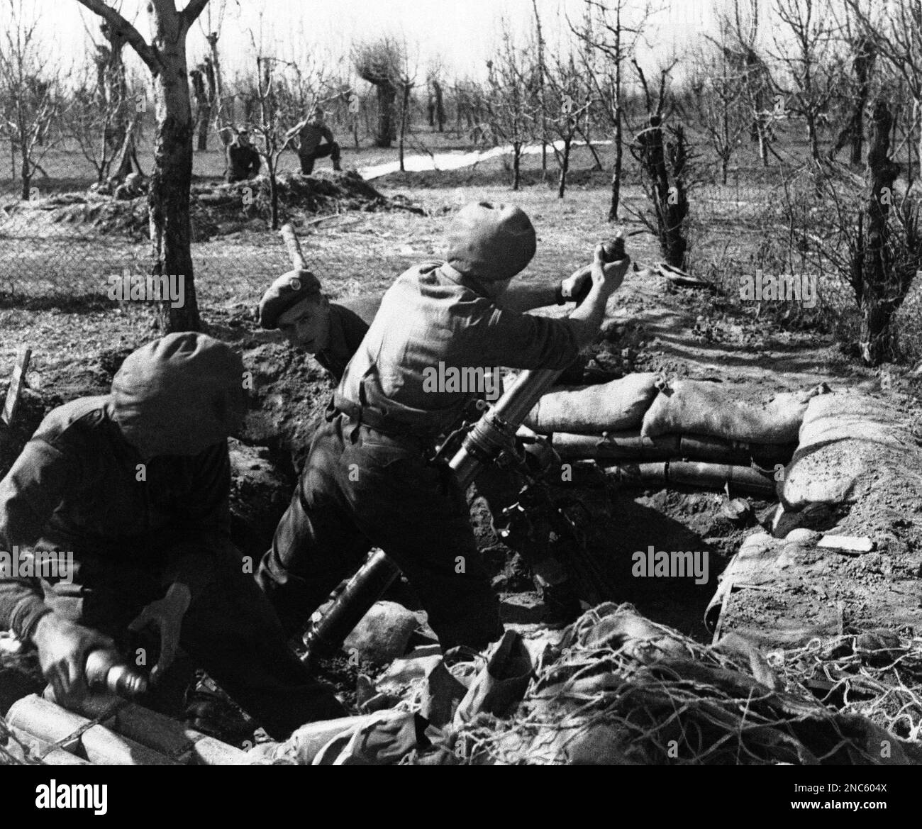 First Jewish Brigade to be formed in the war is in action alongside the ...