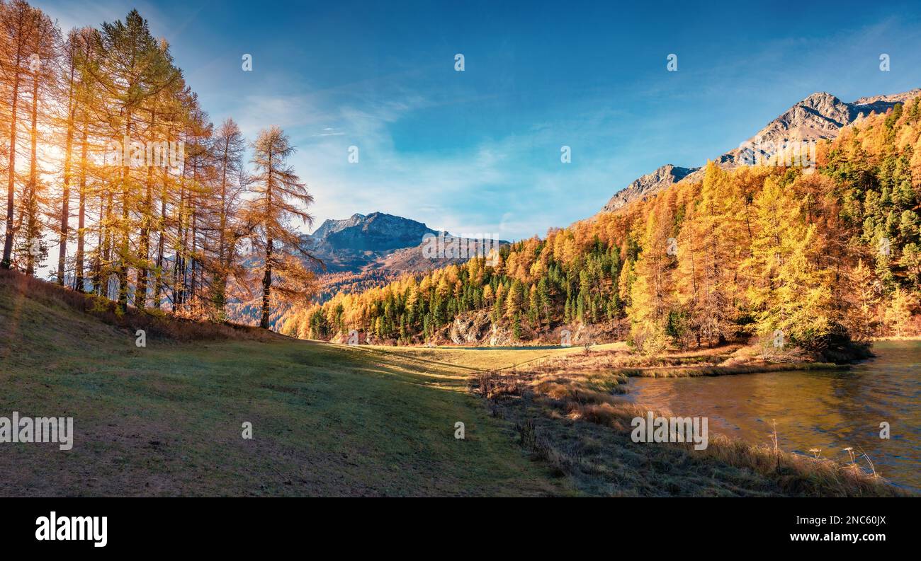 Astonishing autumn scene of Sils Lake / Silsersee. Gorgeous morning ...