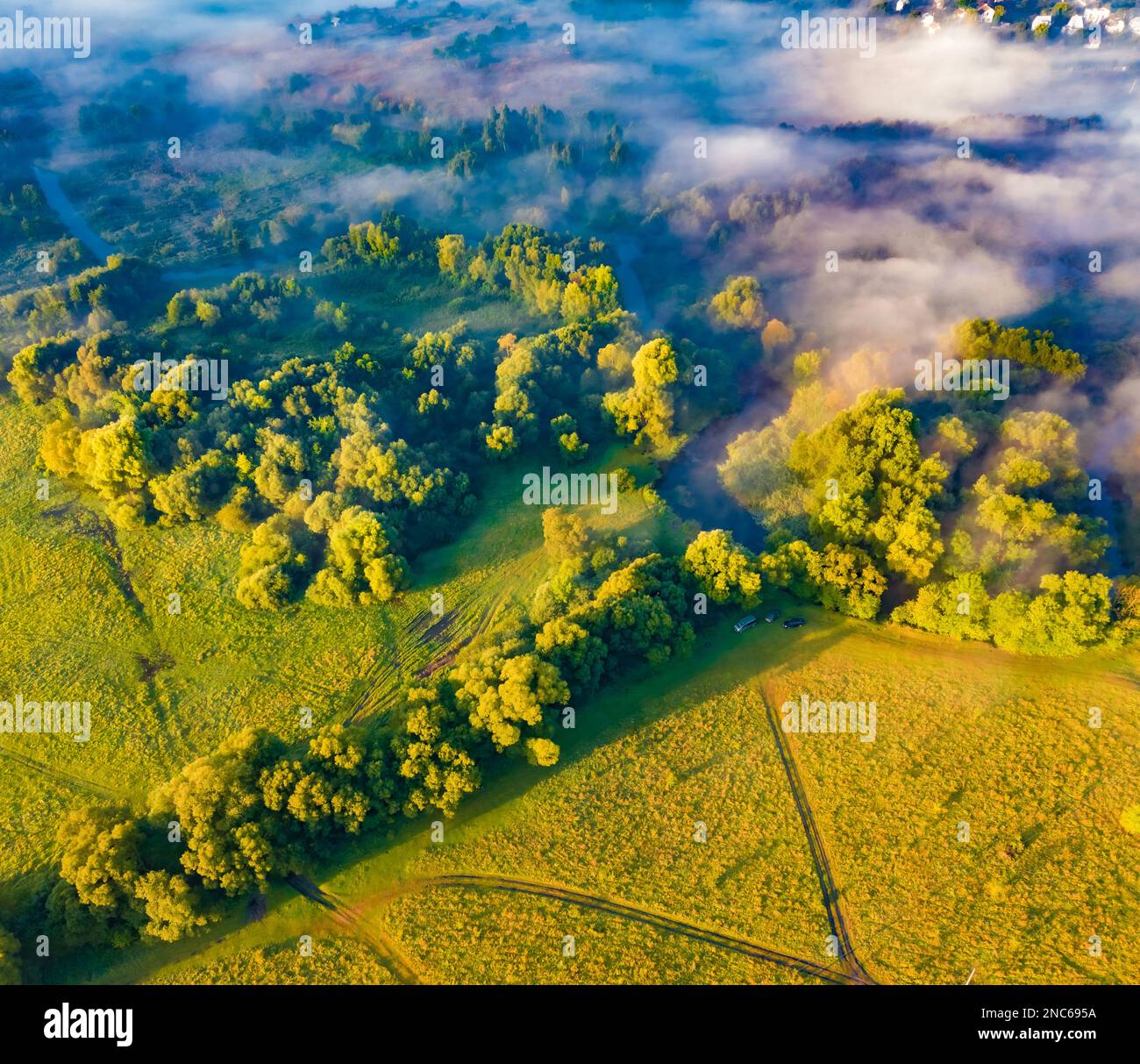 Flying drone in misty forest hi-res stock photography and images - Alamy