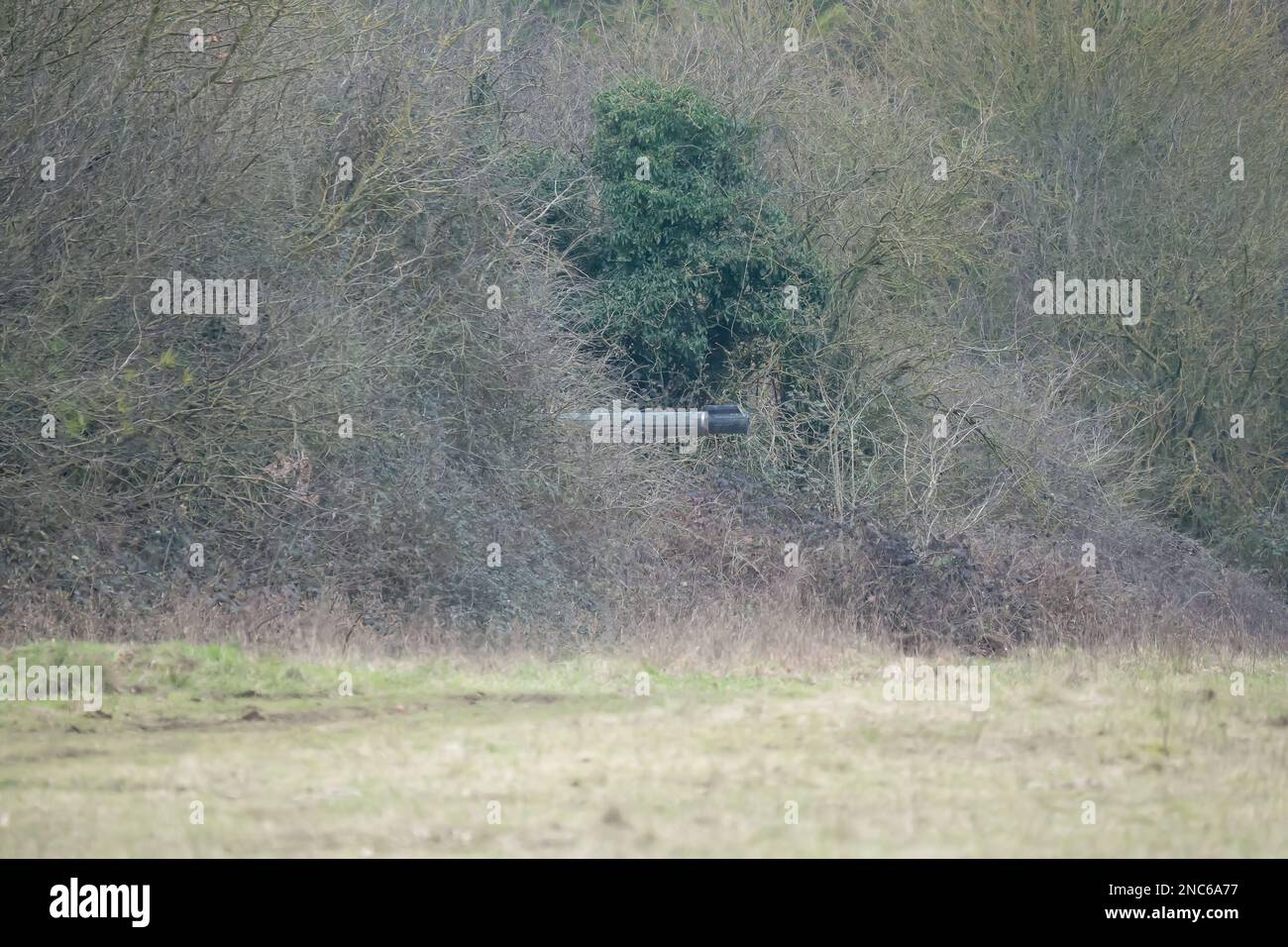 British army FV4034 Challenger 2 ii main battle tank hidden behind ...