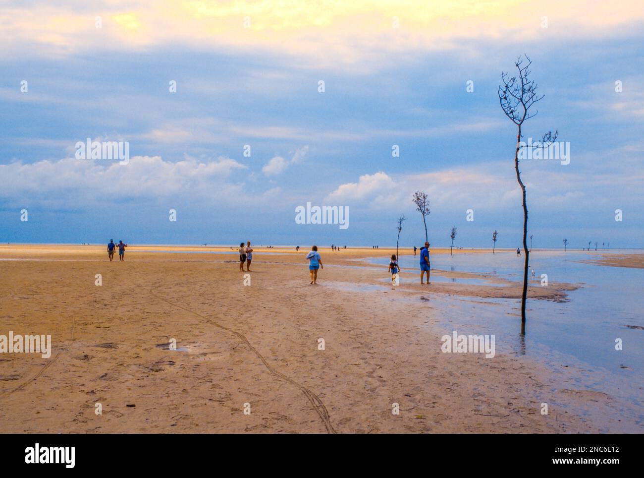 Sunset. Rock Harbor Marker Trees. Rock Harbor. Orleans, Massachusetts ...