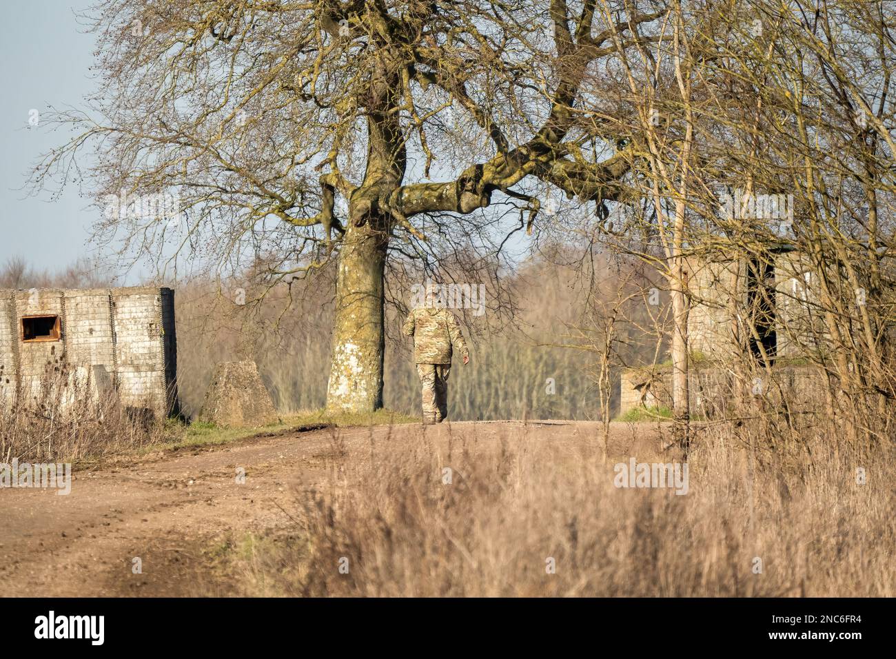 British army infantry soldier walking by woodland, Wiltshire UK Stock ...