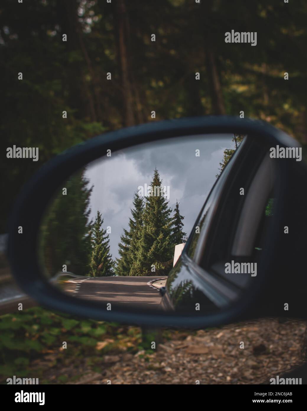 The fir forest trees reflected in the car mirror Stock Photo - Alamy