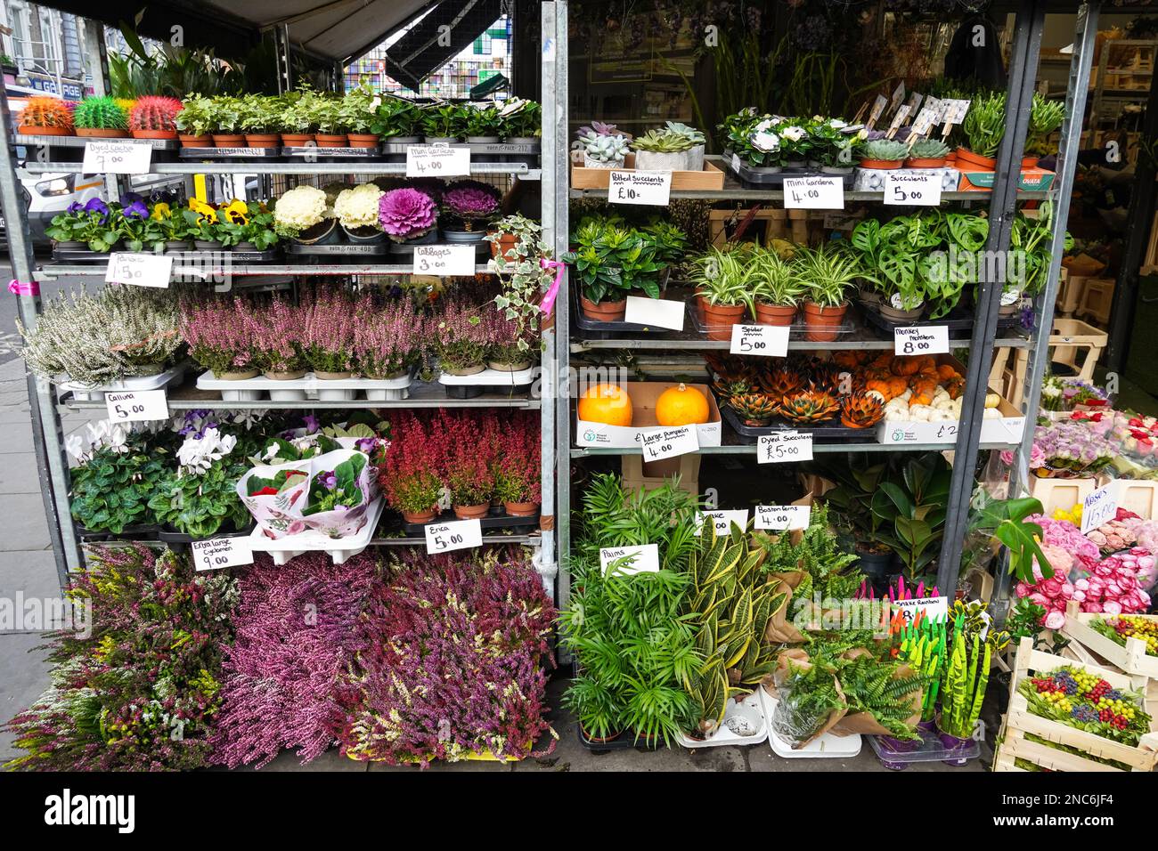 Flower shop florists autumn display in London England United Kingdom UK ...