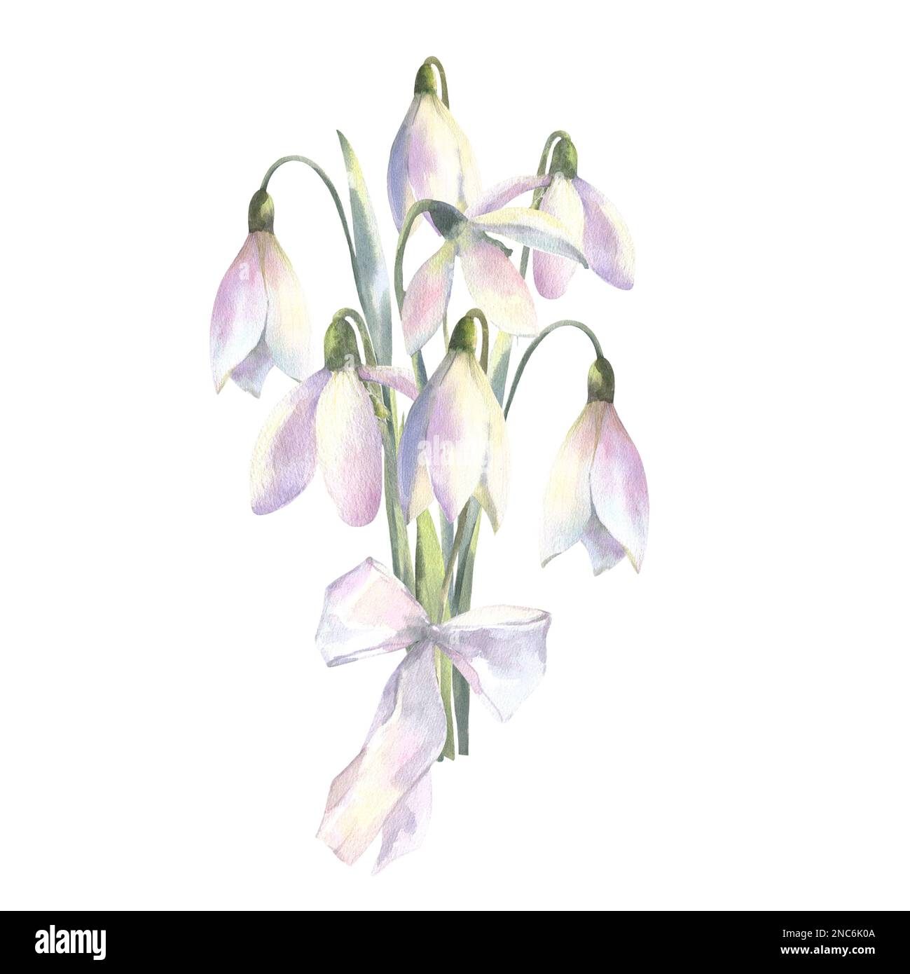 Watercolor spring flowers bouquet of snowdrops with bow. Hand painted ...