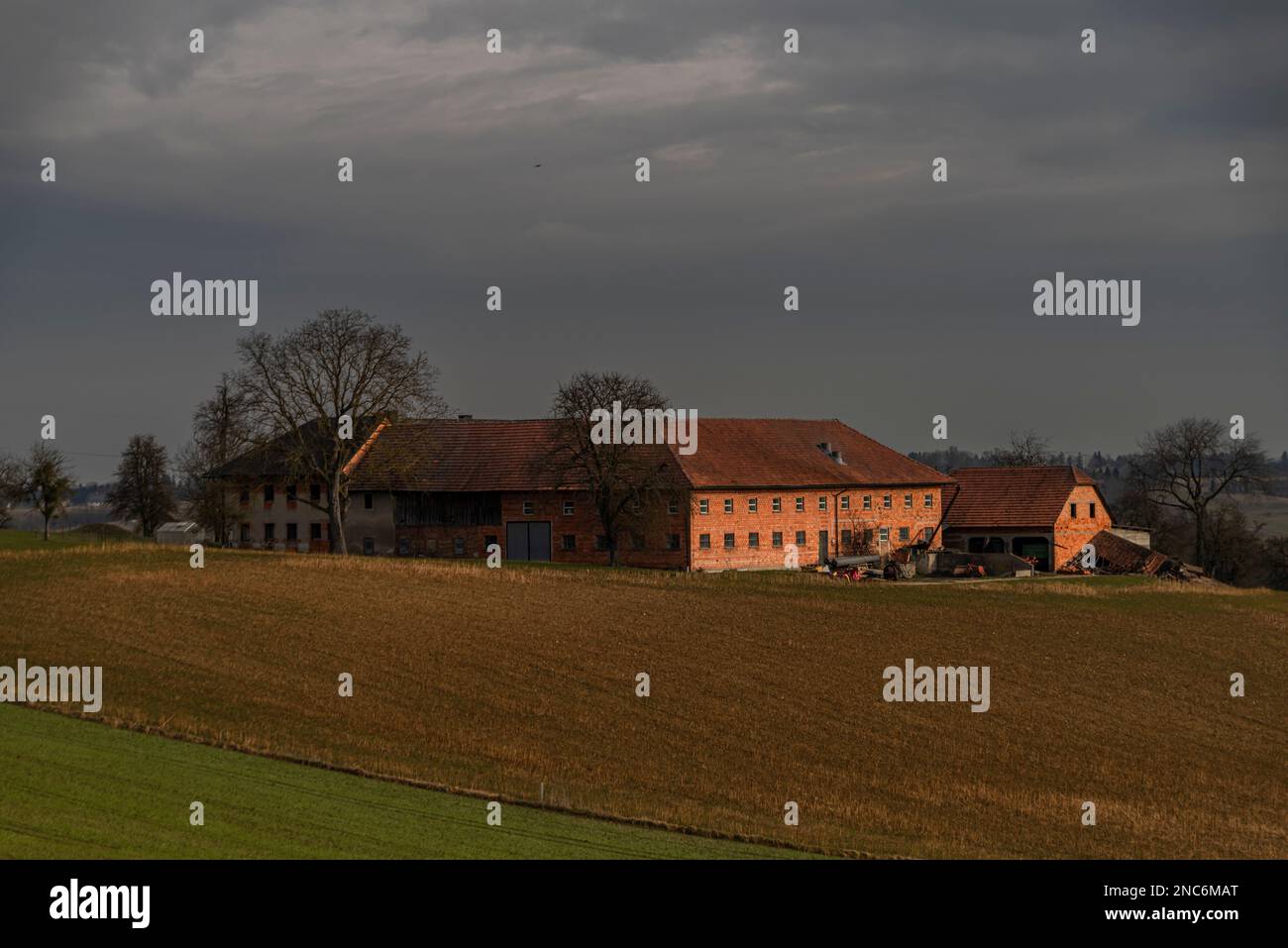 Farms and fields near Bad Hall town in cold winter without snow Stock ...