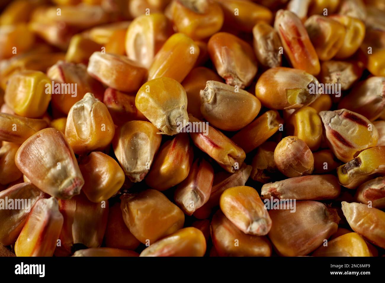 Corn grains hi-res stock photography and images - Alamy