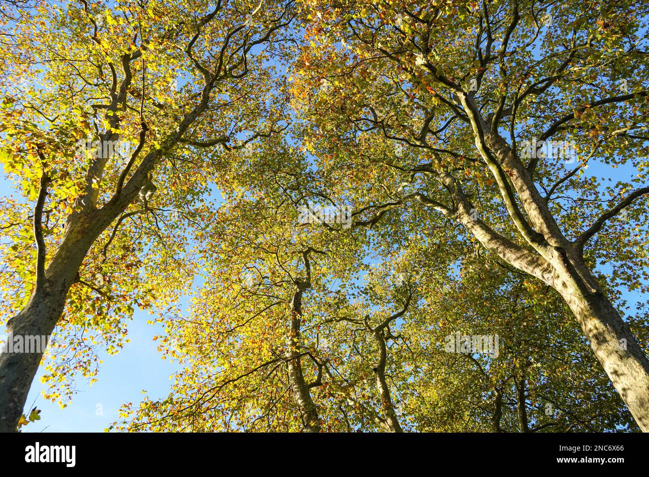 Look up colorful autumn hi-res stock photography and images - Alamy