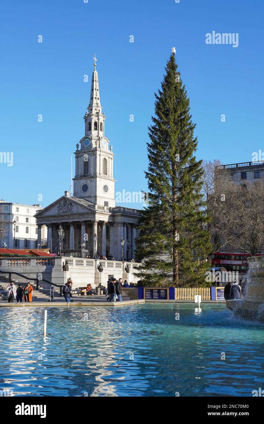 Iconic london tree hi-res stock photography and images - Alamy