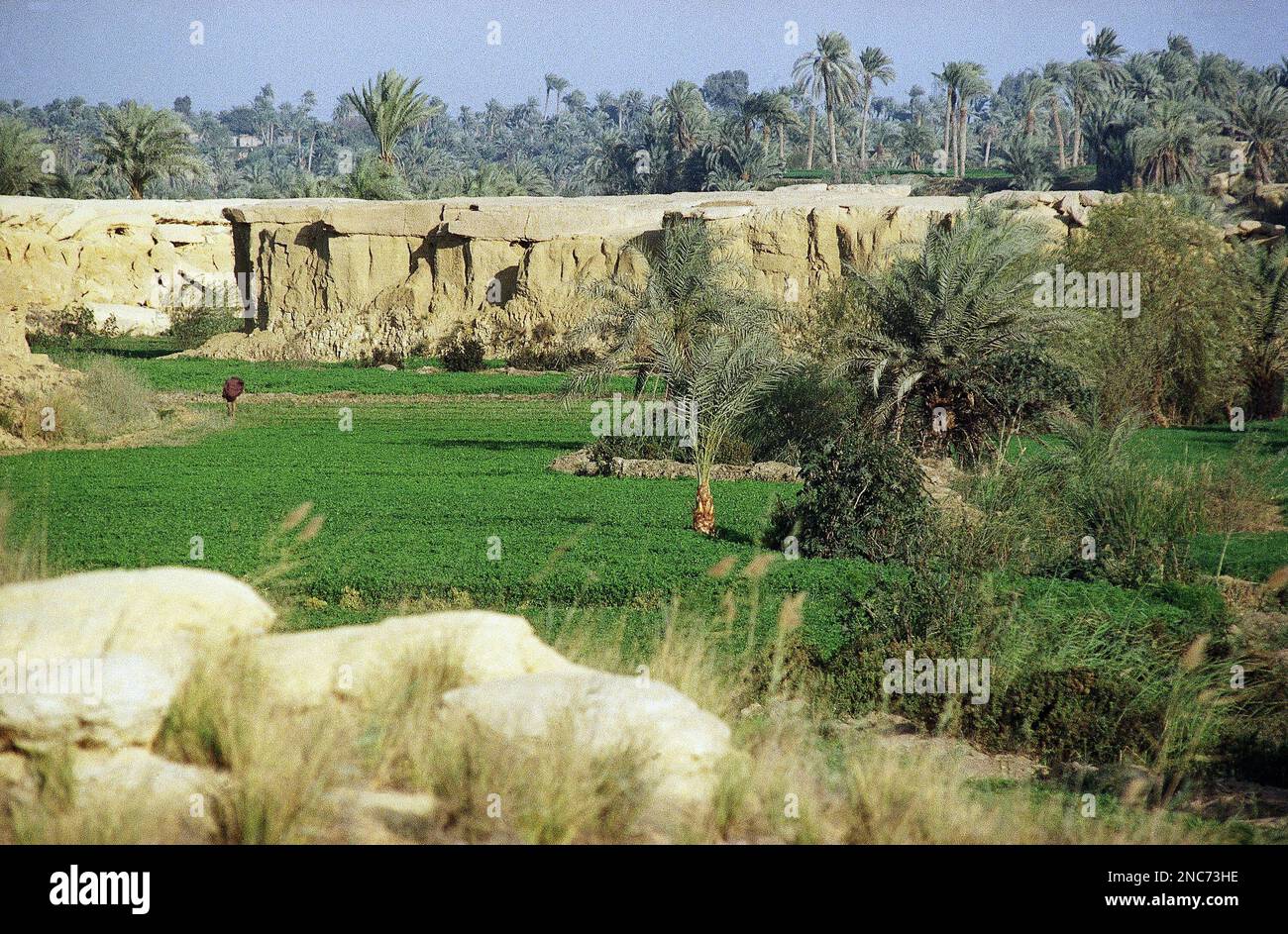 The Nile River is edged with some greenery in the surrounding desert as ...