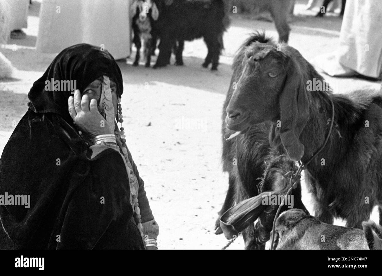 Women of the nomadic Bedouin tribes in Egypt’s Sinai Peninsula preserve their modesty with ...