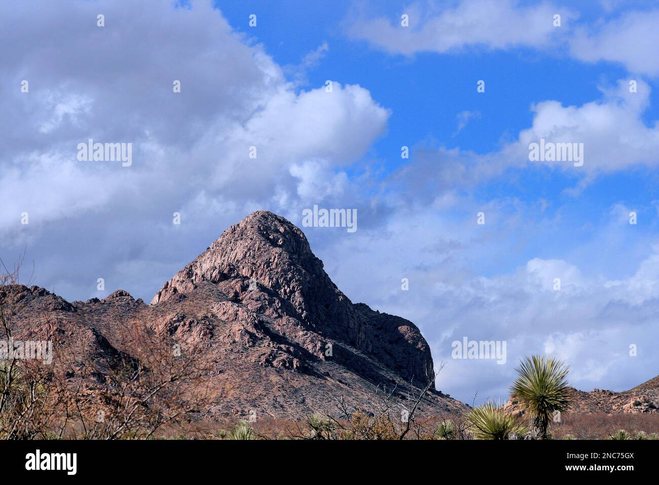 Yucca vacation hi-res stock photography and images - Alamy