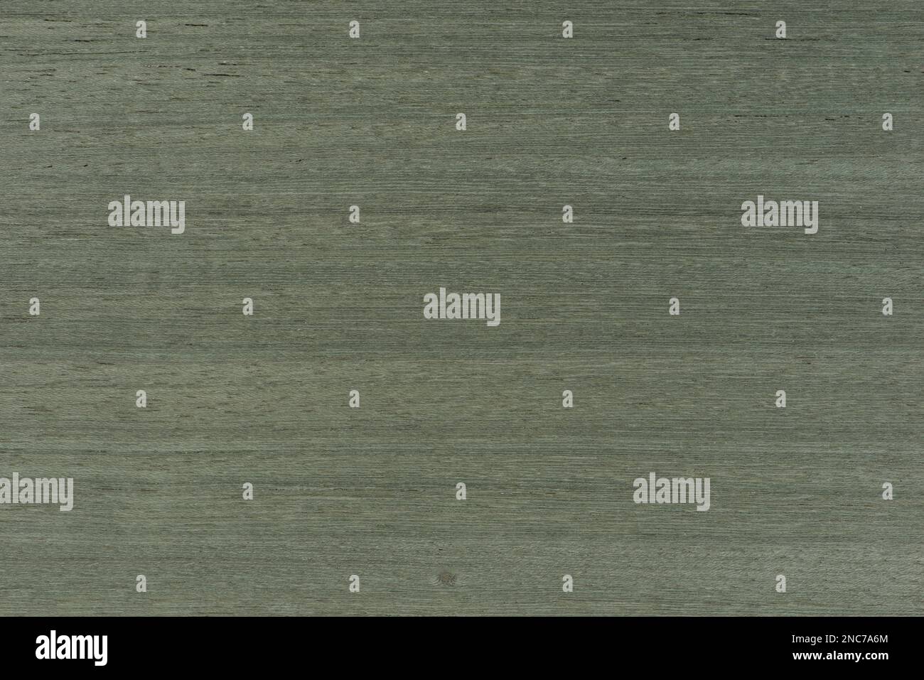 Texture of green wood. The texture of koto wood with a greenish tint ...