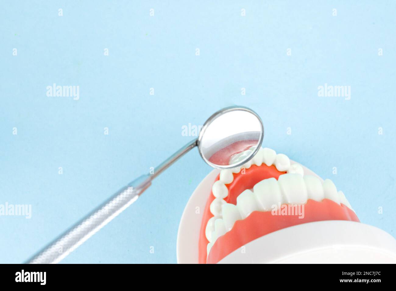 Dentures Dental Teeth Model with dentist mouth mirror. Complete denture ...