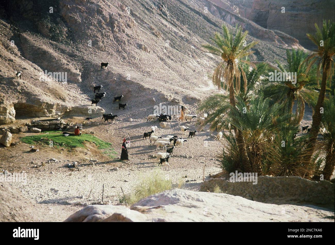 Nuweiba, coastal town in eastern part of Sinai Peninsula, Egypt in ...