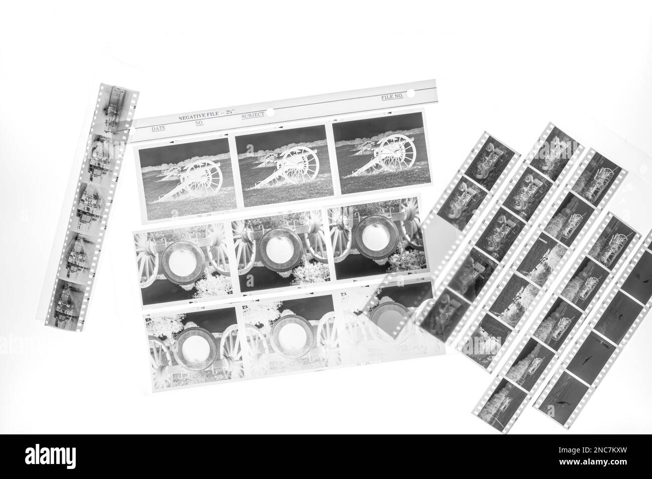 Film photography is making a big comeback, and this image shows a ...