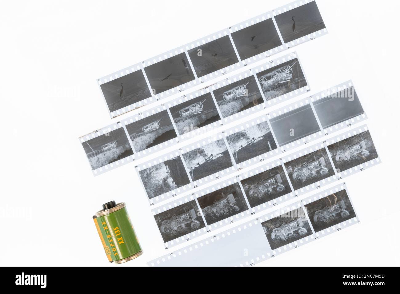 Film photography popularity is soaring, and this photo shows a sheet of ...