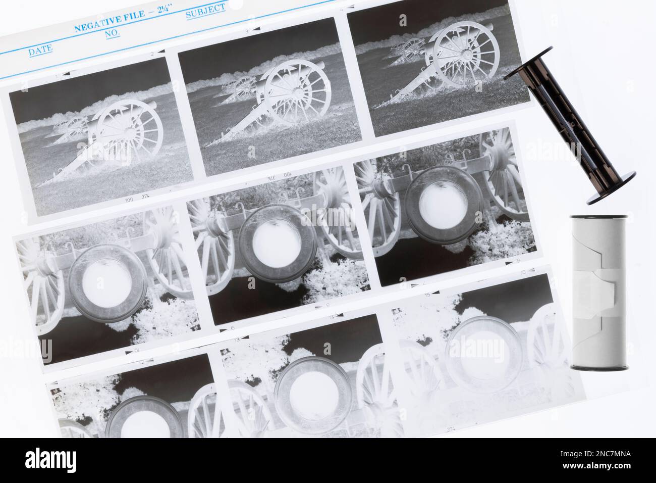 There is a new explosion of film photography popularity, and this photo ...