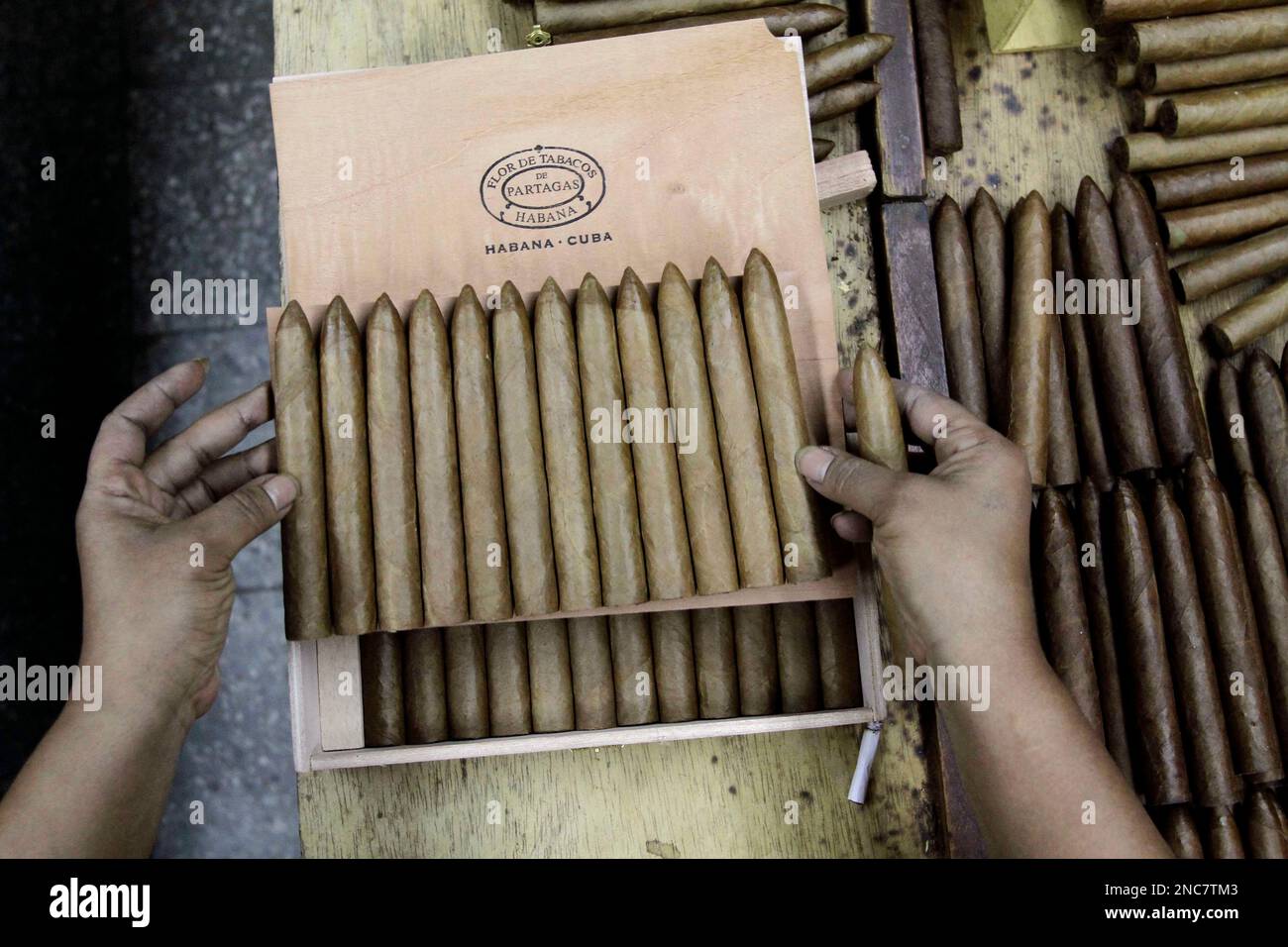 A worker packages cigars at the H. Upmann cigar factory during the 13th ...