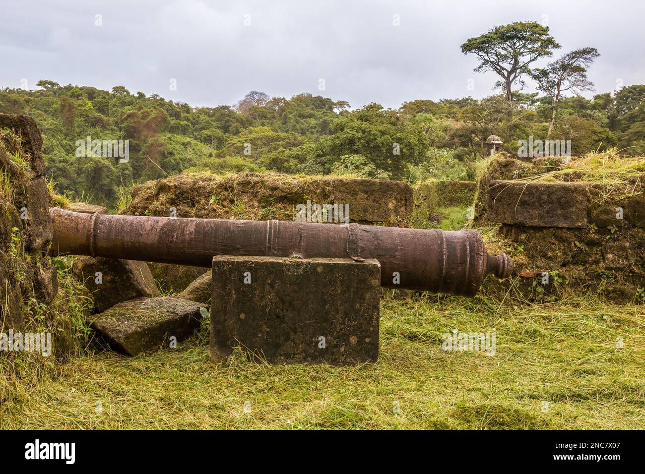 Cannon at the ruins of Fort San Lorenzo, at the mouth of the Chagres ...