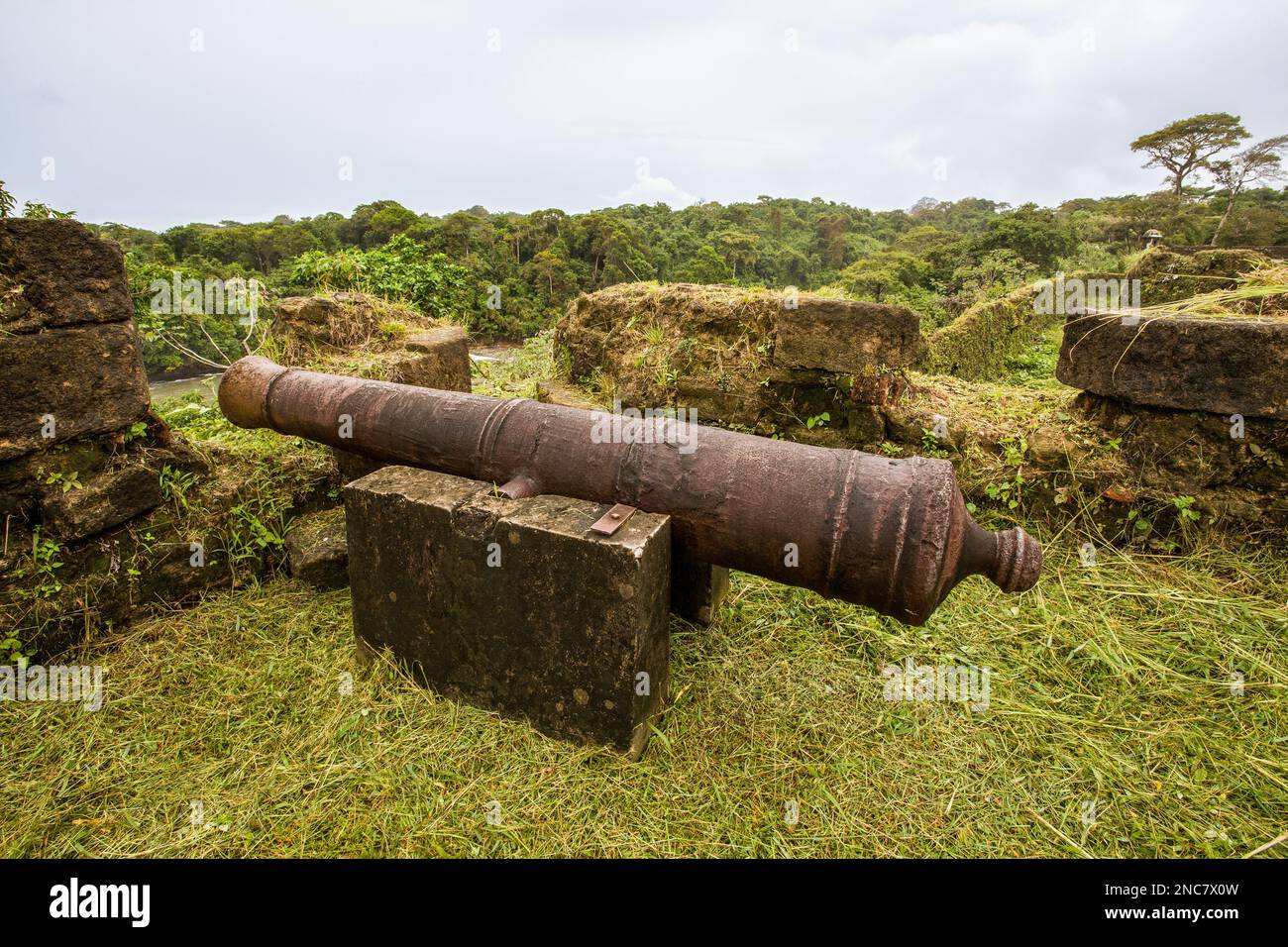 Cannon at the ruins of Fort San Lorenzo, at the mouth of the Chagres ...