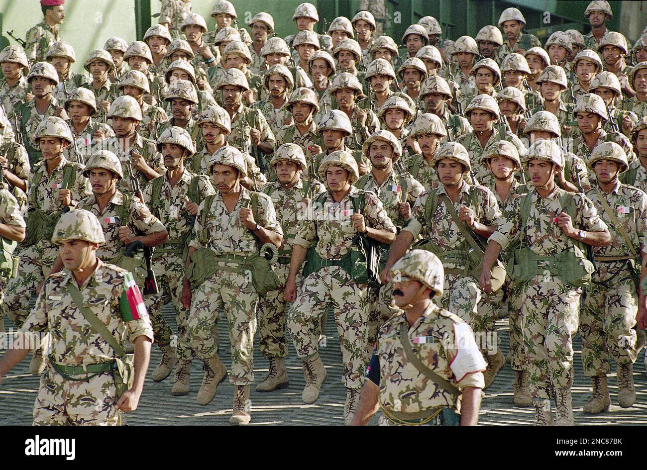 The fourth division of the fourth brigade of the Egyptian army arrives ...