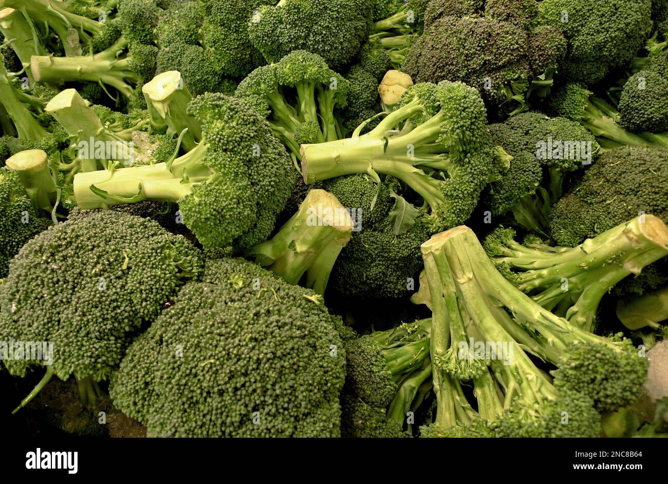 FILE – In this March 20, 2009, file photo mounds of fresh broccoli are ...