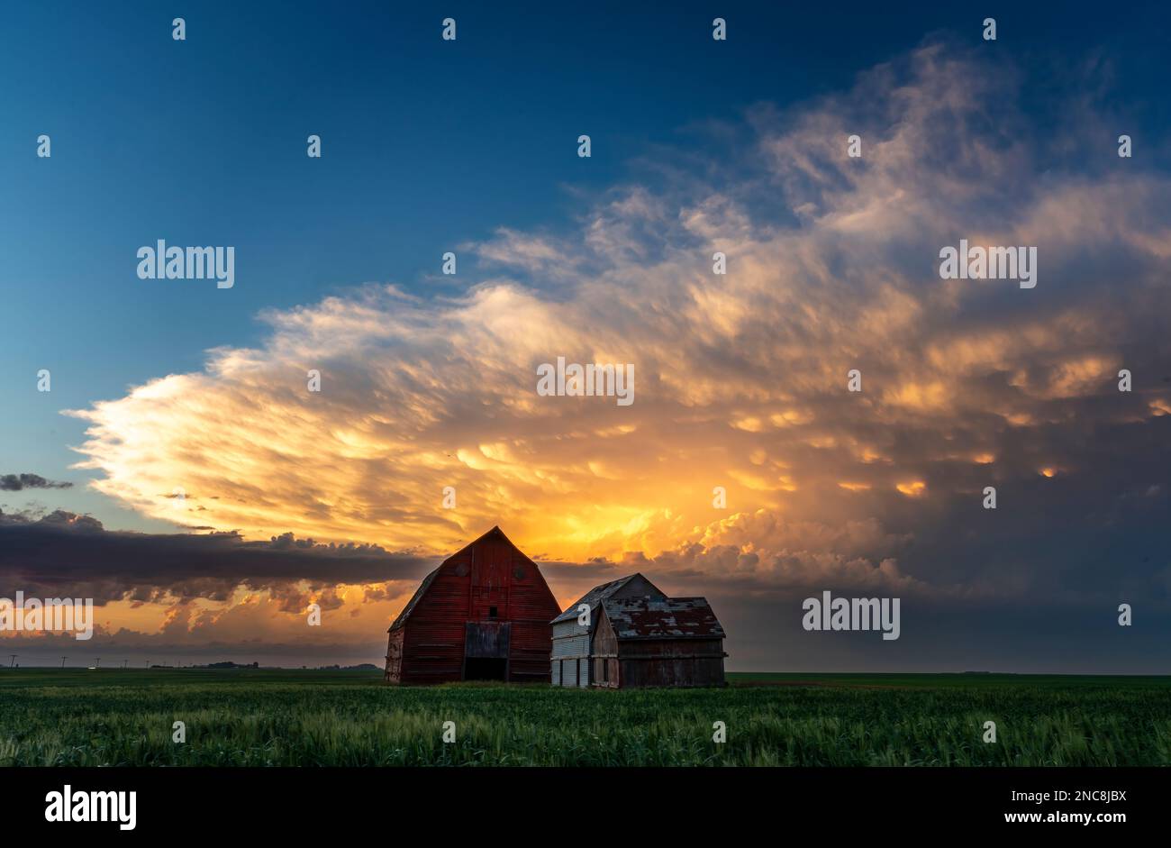Summer Storms in the Canadian Prairies Dramatic Scenes Stock Photo - Alamy