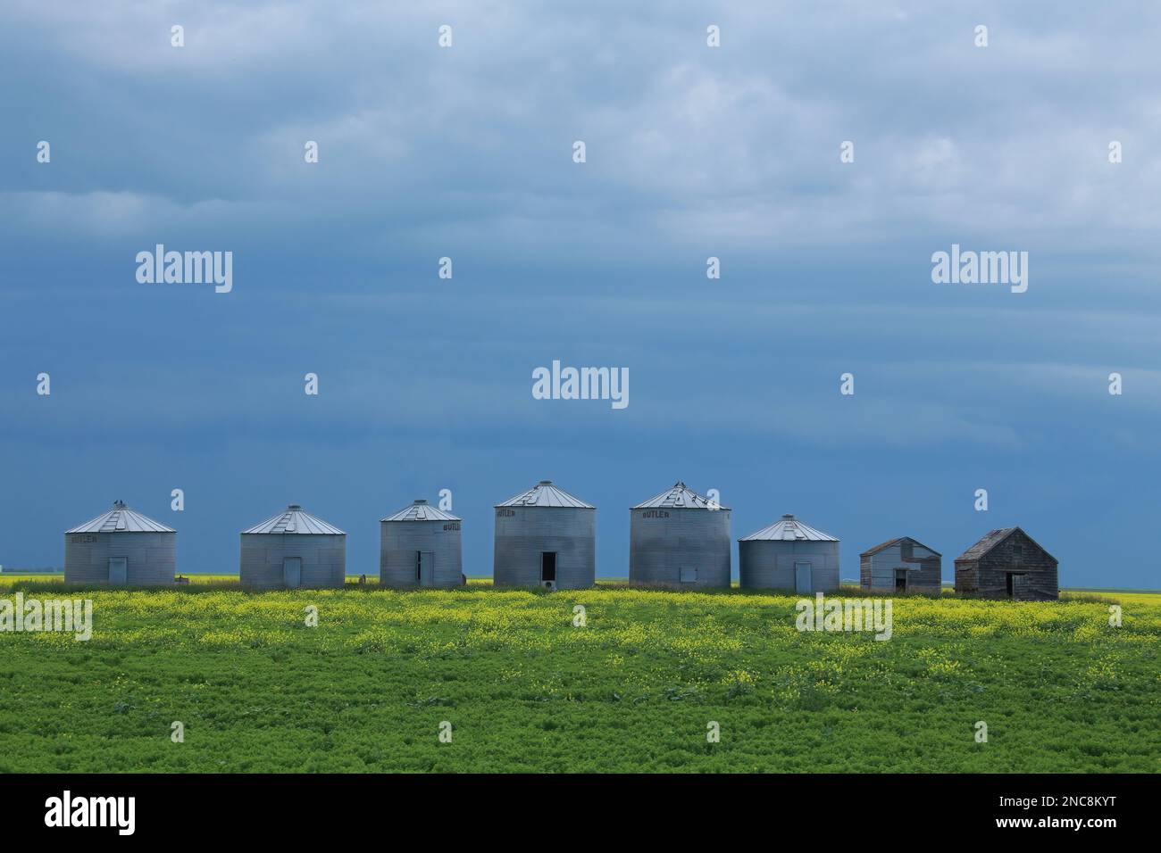 Summer Storms in the Canadian Prairies Dramatic Scenes Stock Photo - Alamy