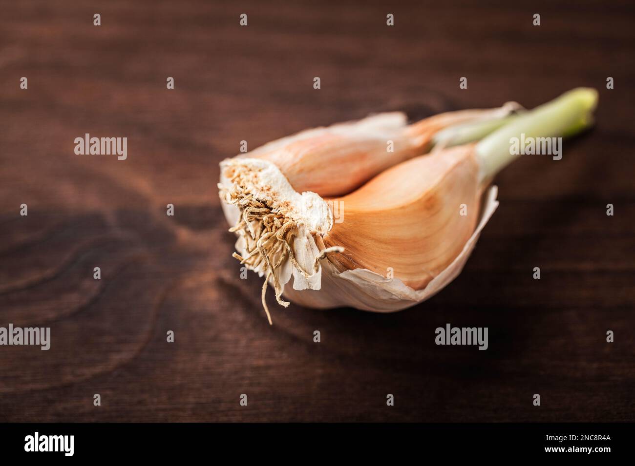 Vegetable sprout kitchen hi-res stock photography and images - Alamy