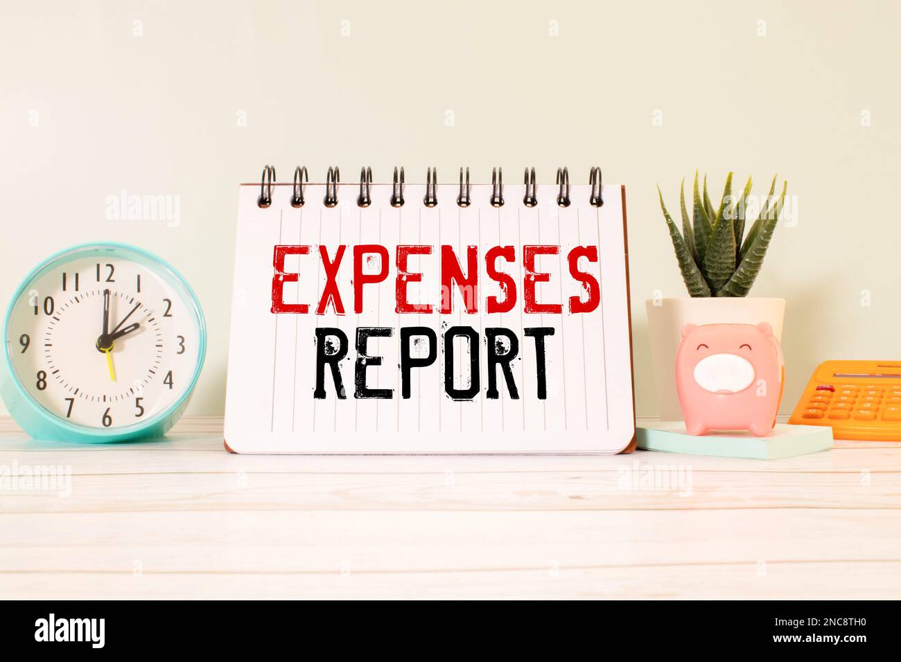 Expense Report Logo