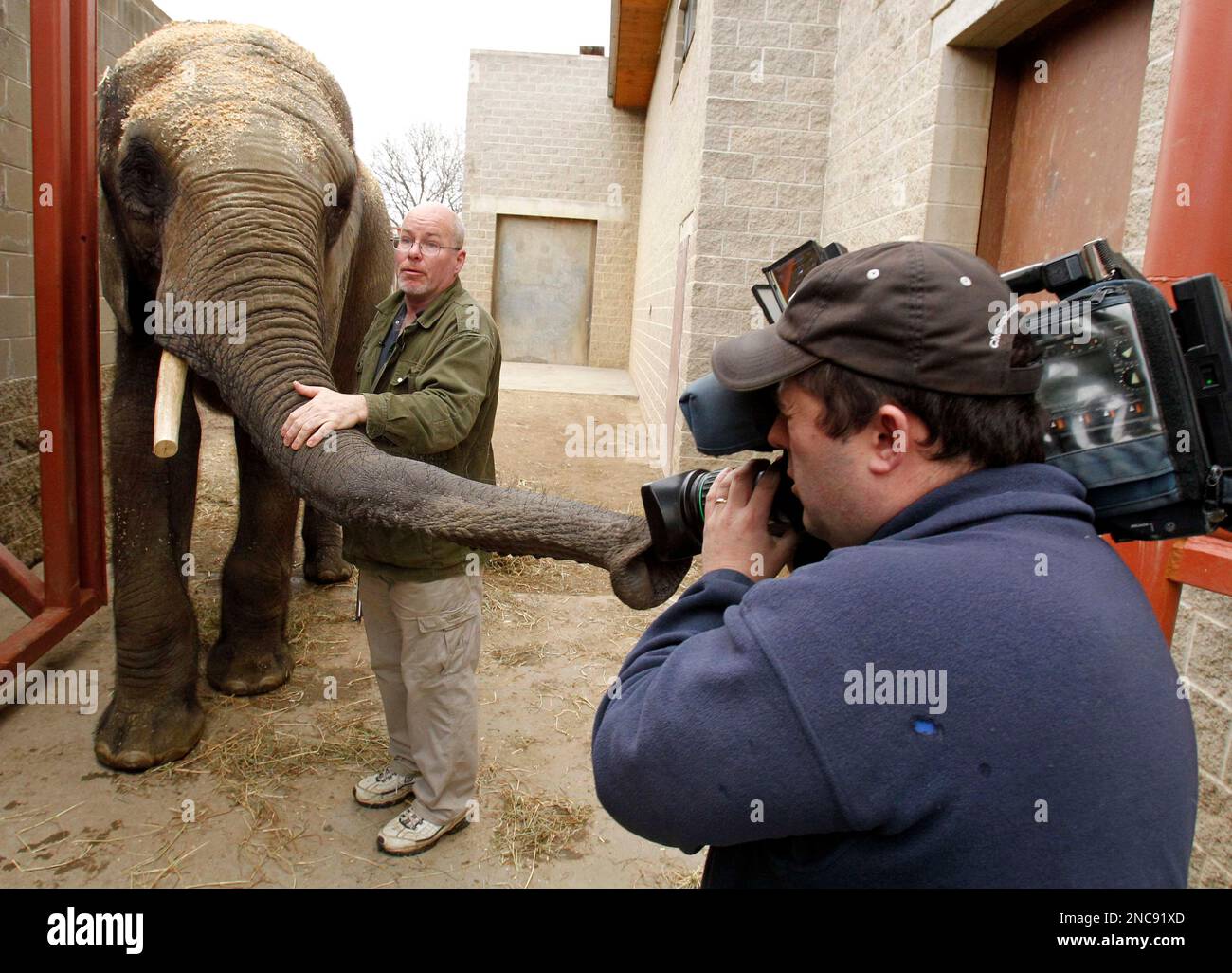 Willie Theison, Pittsburgh Zoo & PPG Aquarium elephant manager, center ...